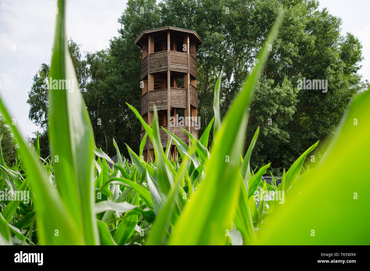 Wood tower hi-res stock photography and images - Alamy