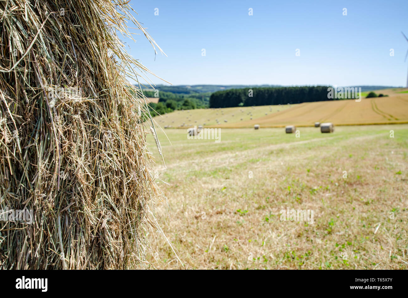 Farmer and hay hi-res stock photography and images - Alamy