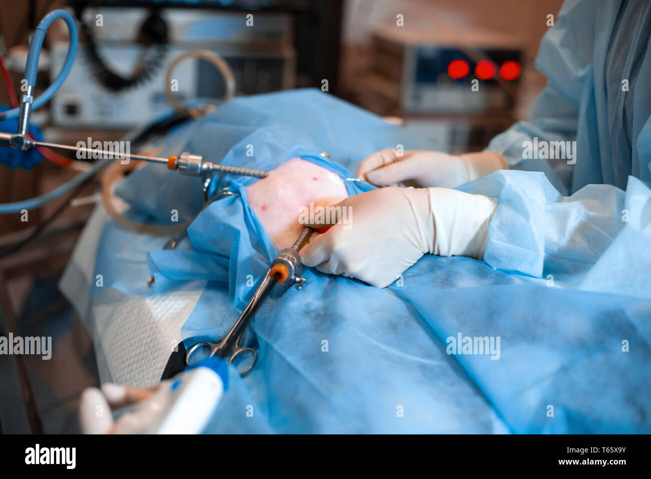 veterinarian or doctors doing surgery in the clinic. medicine, pet ...