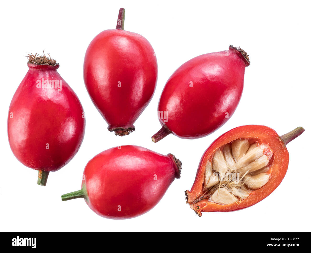 Rose-hips or wild rose berries isolated on a white background Stock ...