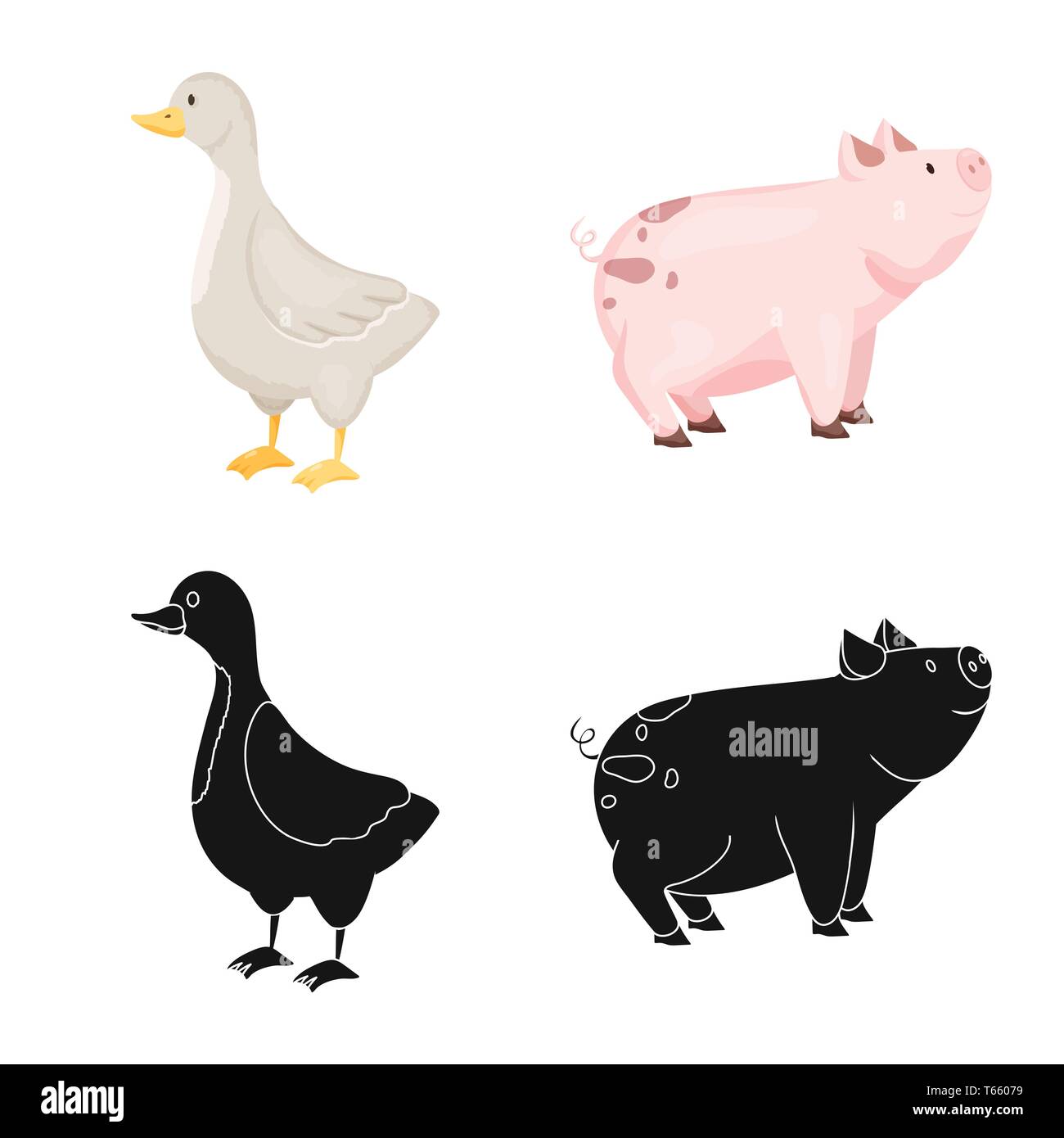 goose,pig,pet,animal,bird,pork,Canada,meat,flying,piglet,duck,cute ...