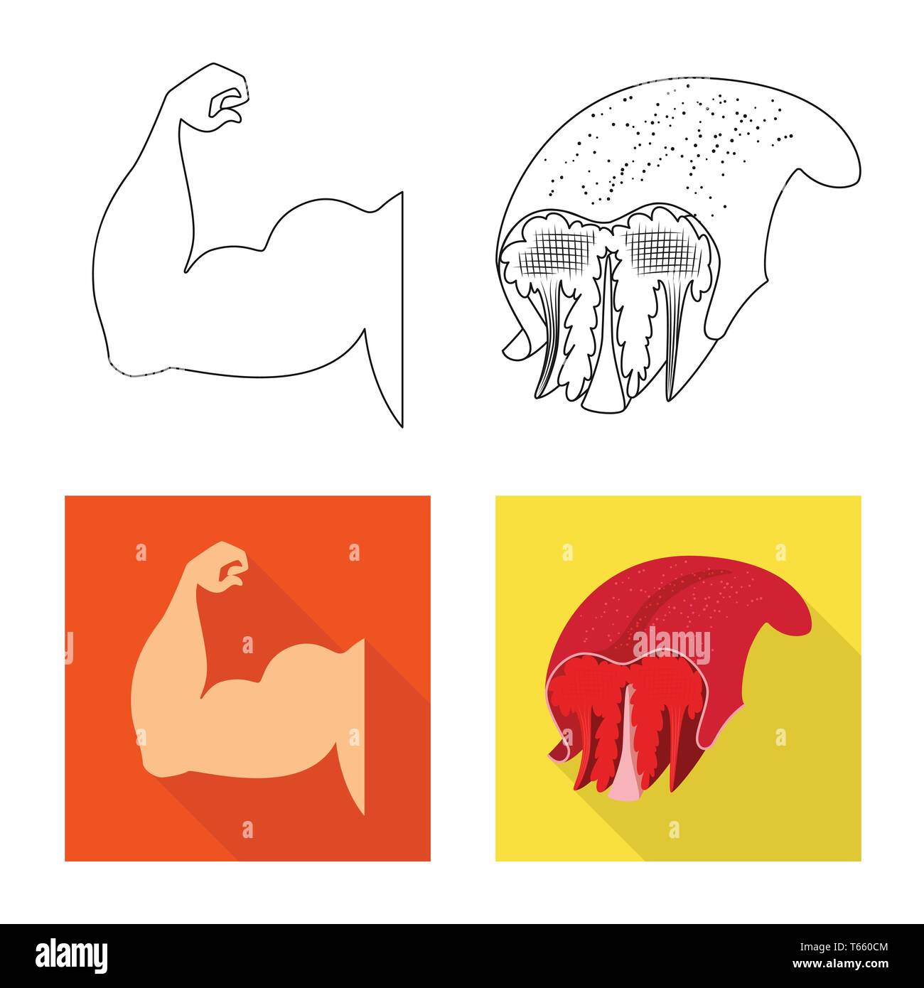 Vector design of fiber and muscular symbol. Collection of fiber and ...