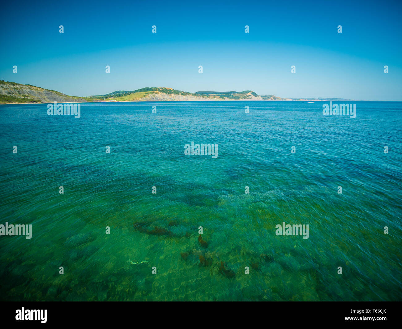 Charmouth lyme bay hi-res stock photography and images - Alamy