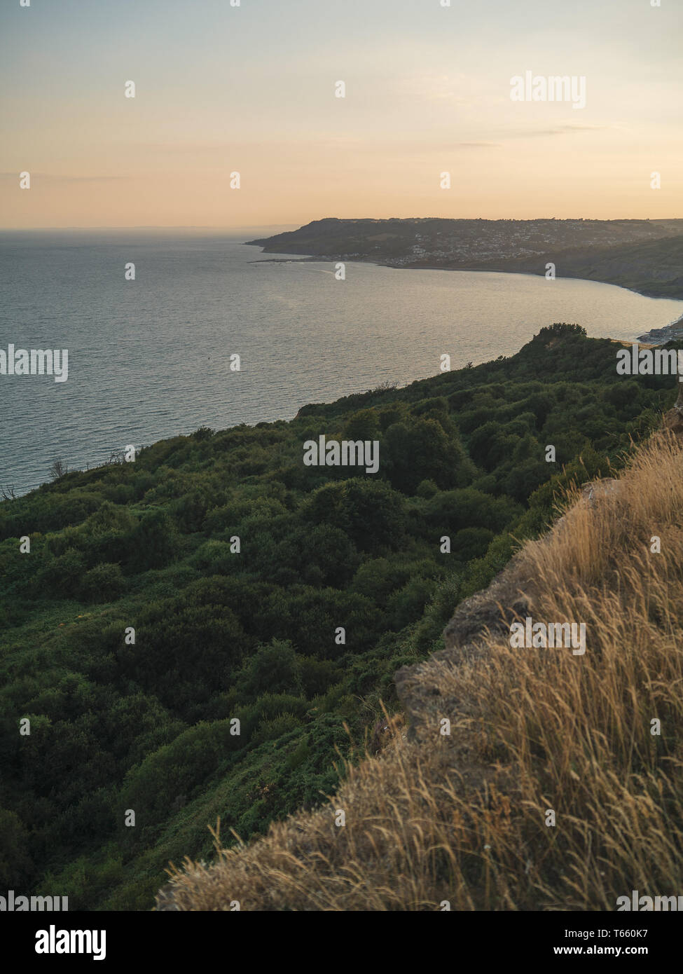 Stonebarrow sea view of Lyme Bay Stock Photo - Alamy