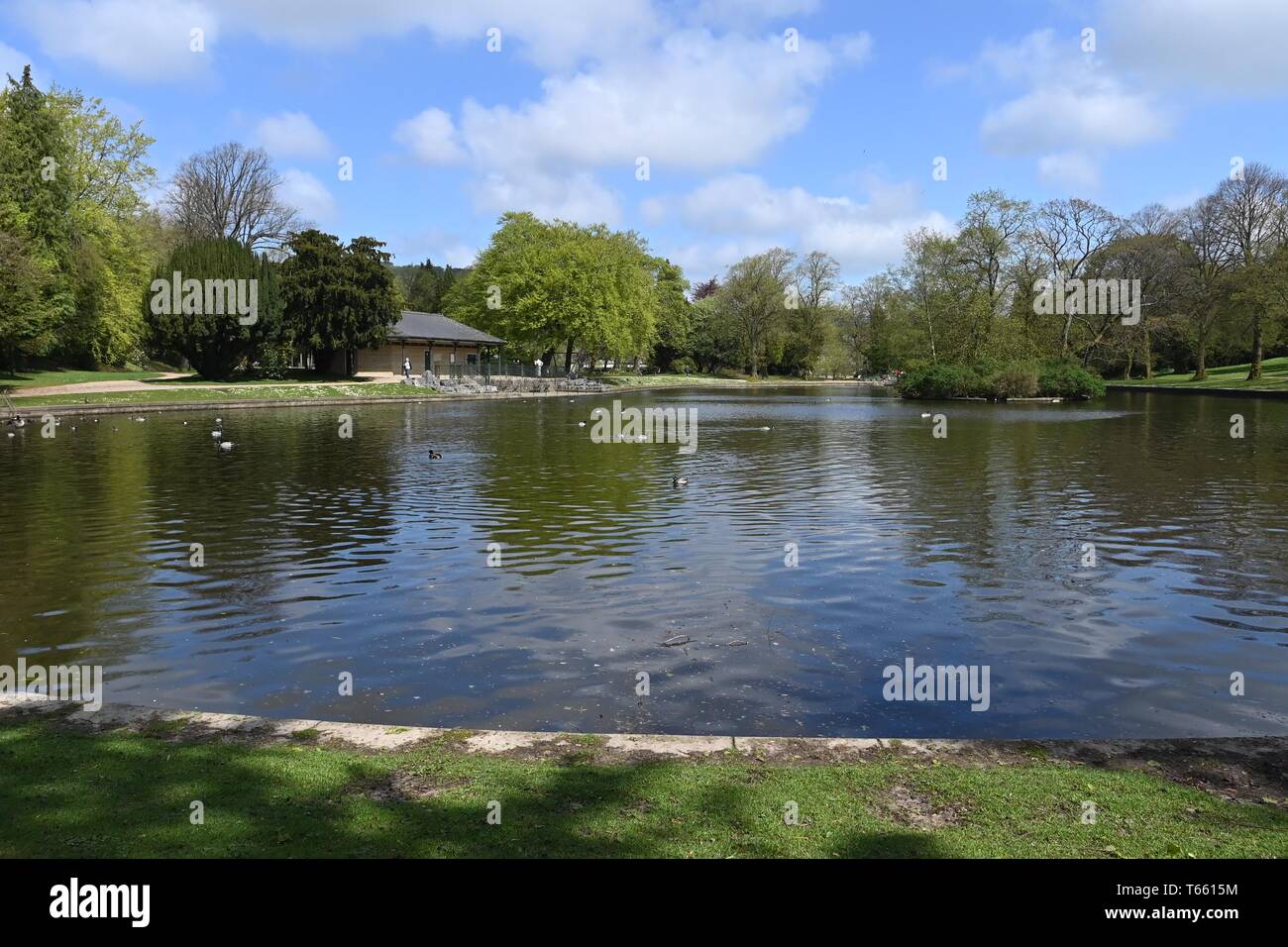 Buxton park gardens lake hi-res stock photography and images - Alamy