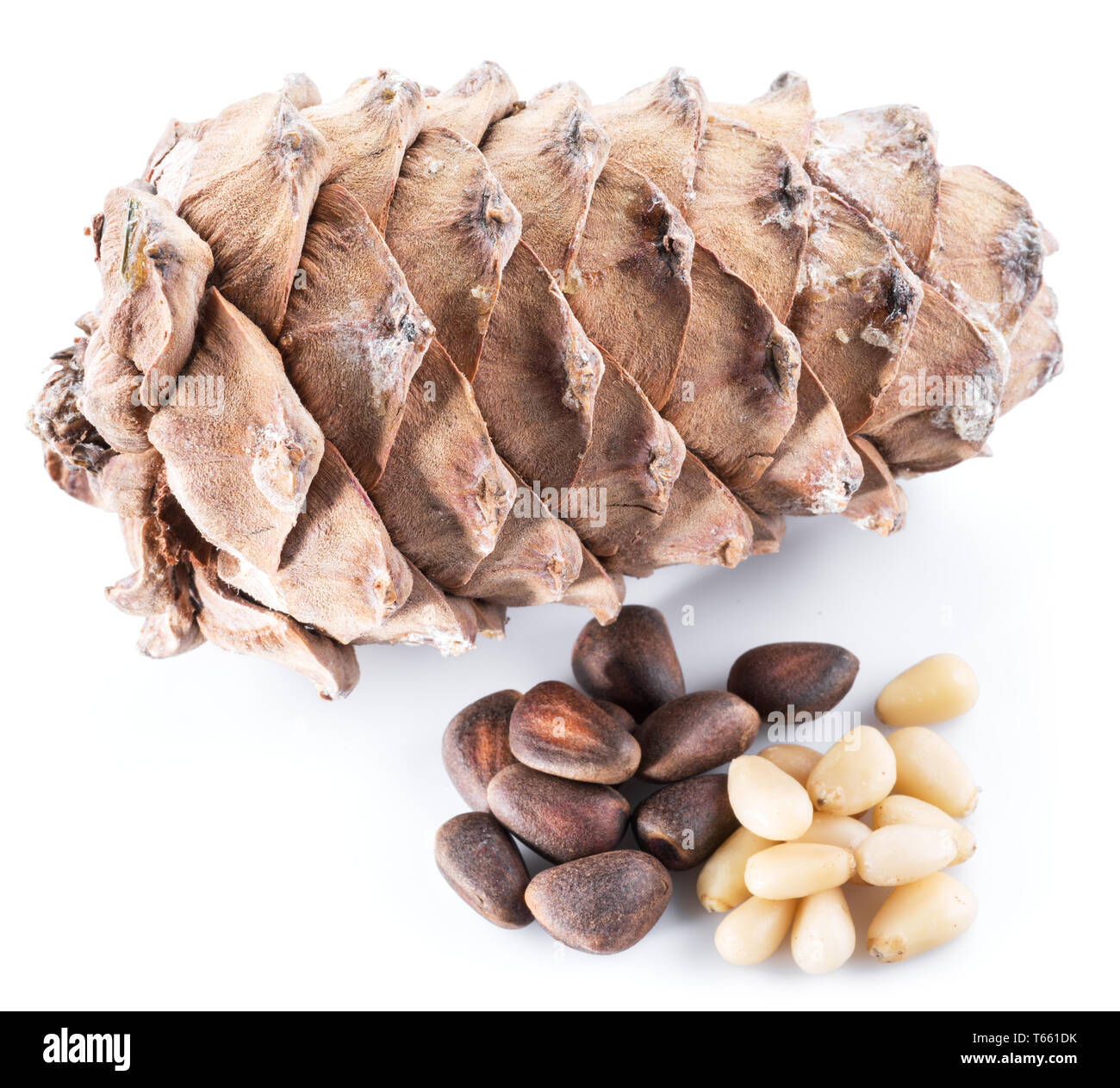 Pine nut cone hi-res stock photography and images - Alamy