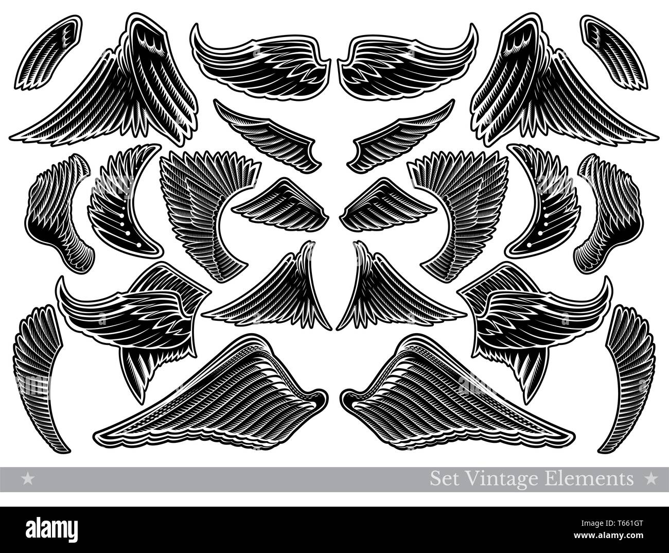 Set of vintage wings isolated on white Stock Vector Image & Art - Alamy