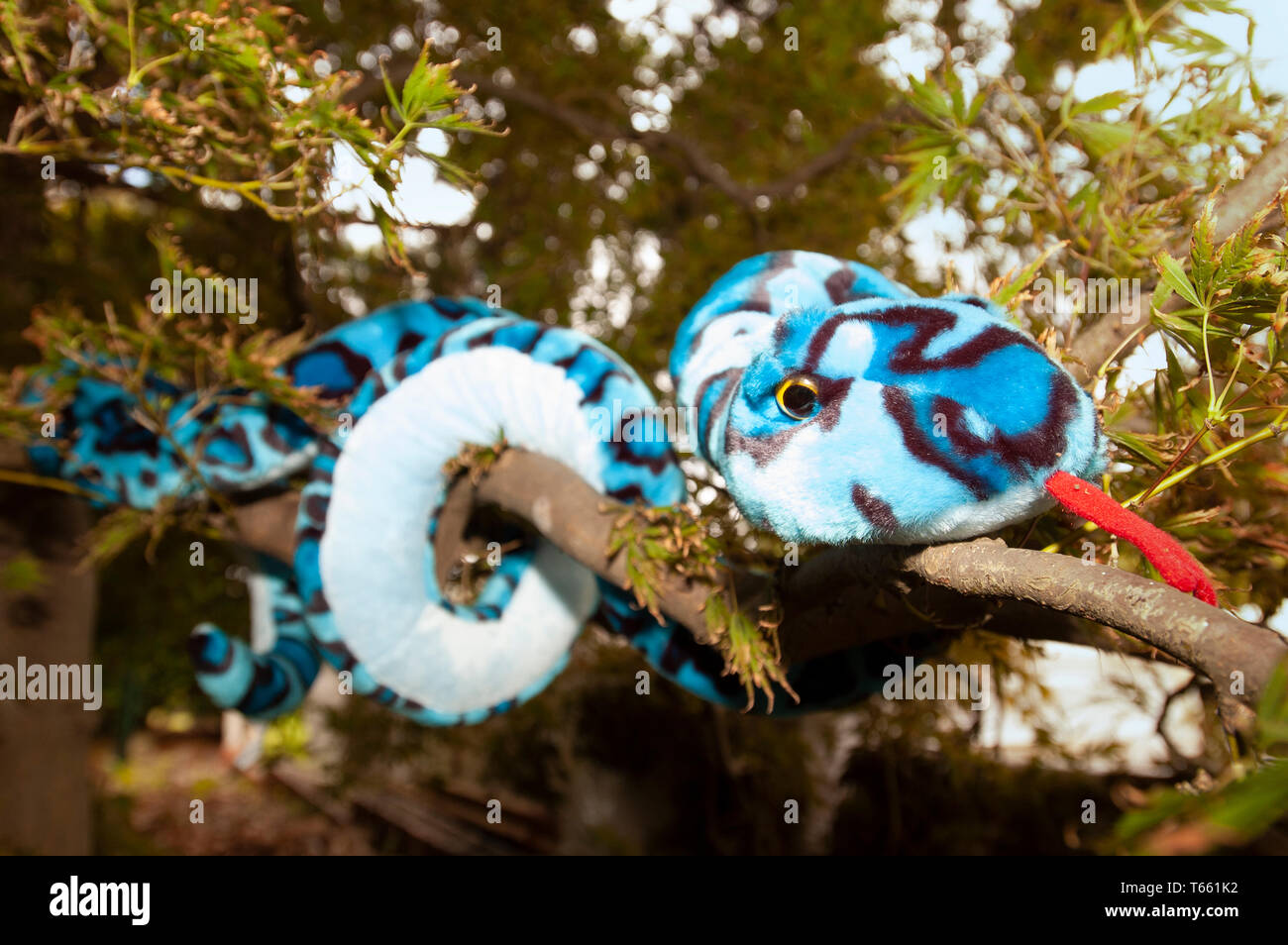 Fluffy children's toy, zoo animal in garden settings to look like they ...