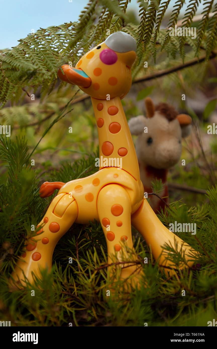 Fluffy children's toy, zoo animal in garden settings to look like they ...
