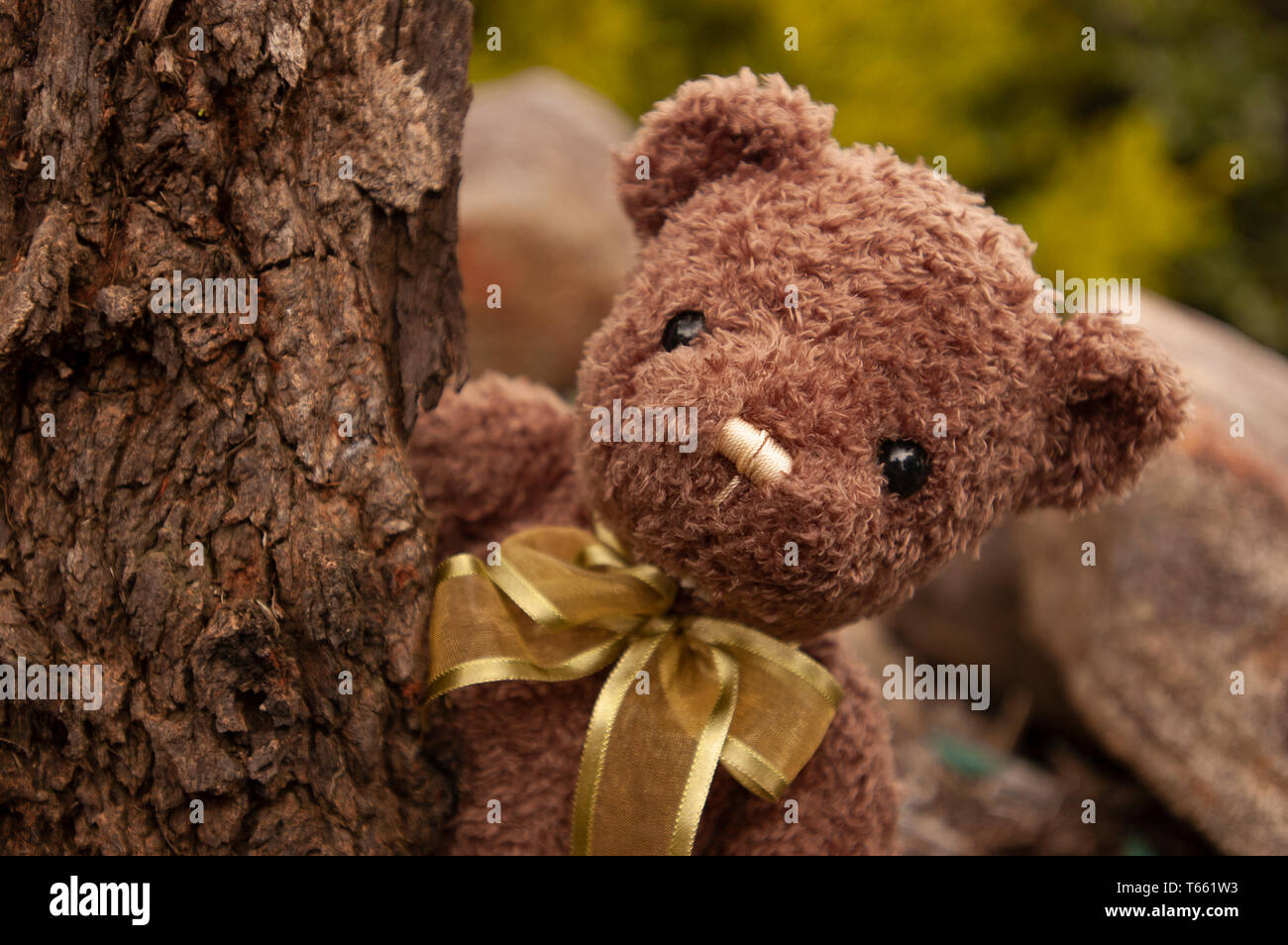 Fluffy children's toy, zoo animal in garden settings to look like they ...