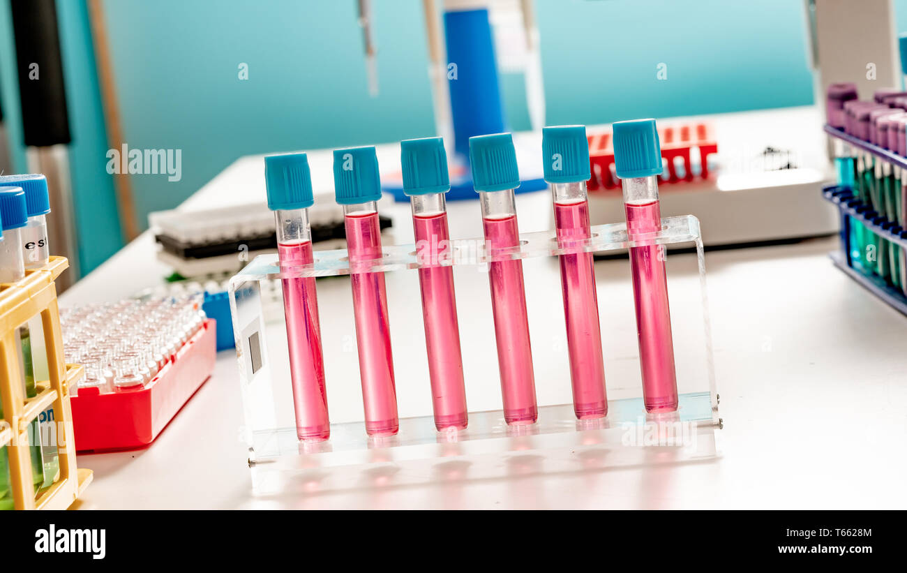Test tubes and flasks in a chemical laboratory Stock Photo - Alamy