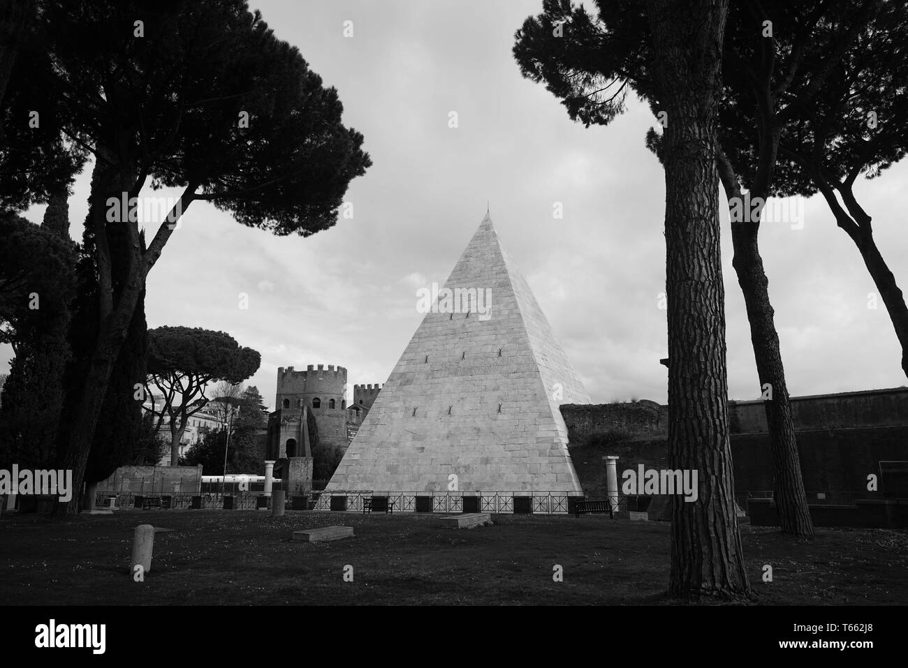 Cambodia temple tree pink Black and White Stock Photos & Images - Alamy