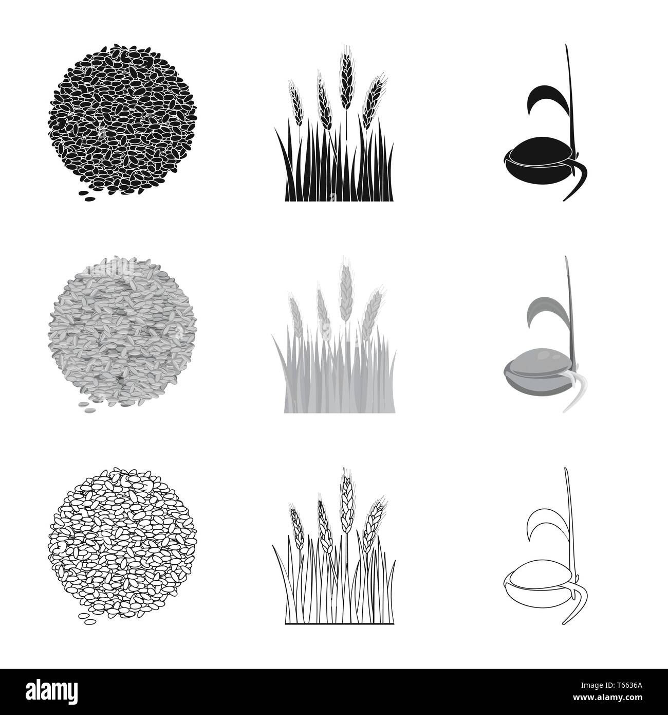 spring,seed,seeds,spike,grow,crop,barley,root,bread,land,seedling ...