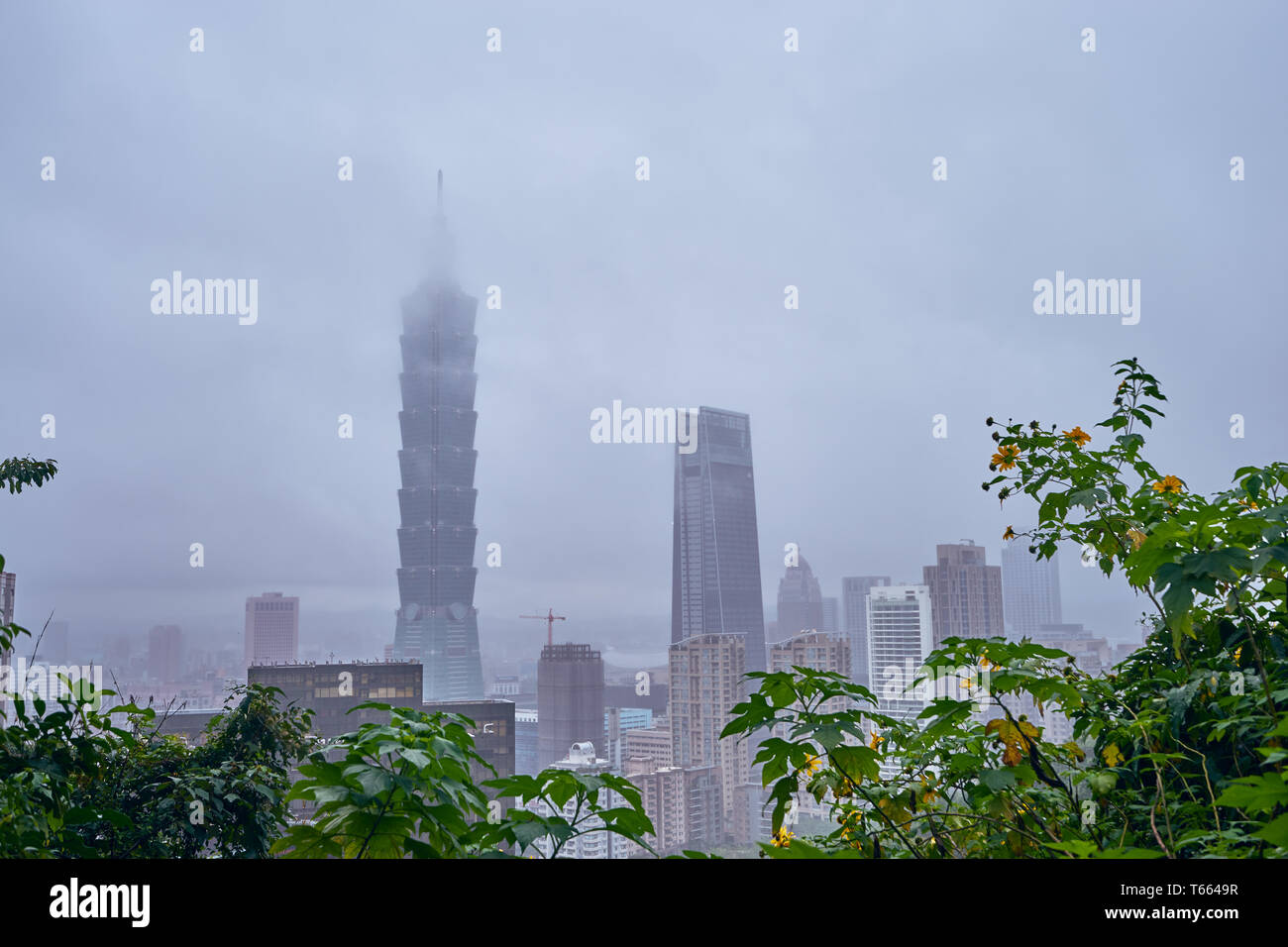 Taipei, Taiwan, December 10, 2018: A mist covered the highest Taipei ...