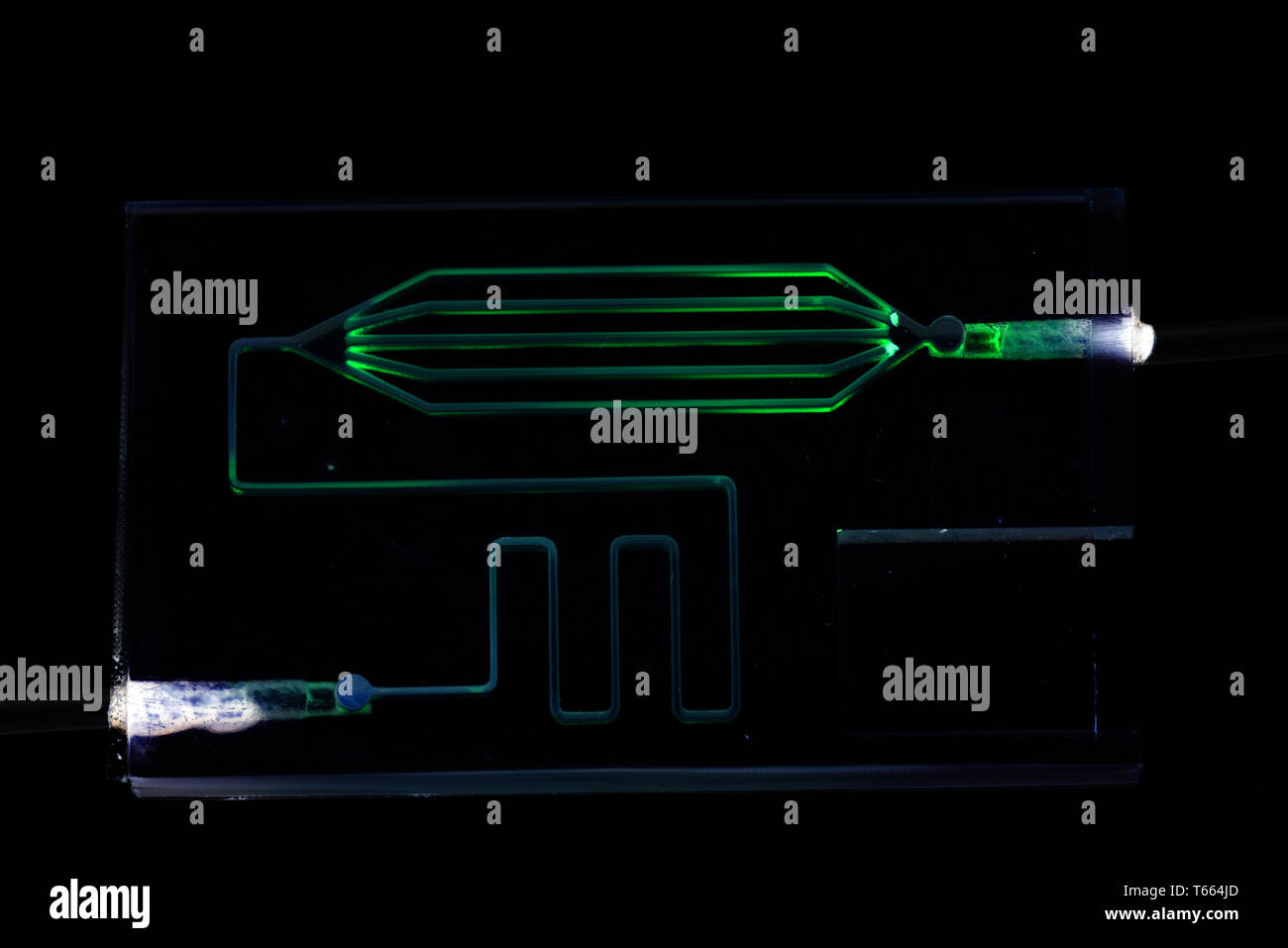 Organ-on-a-chip (OOC) - microfluidic device chip that simulates ...