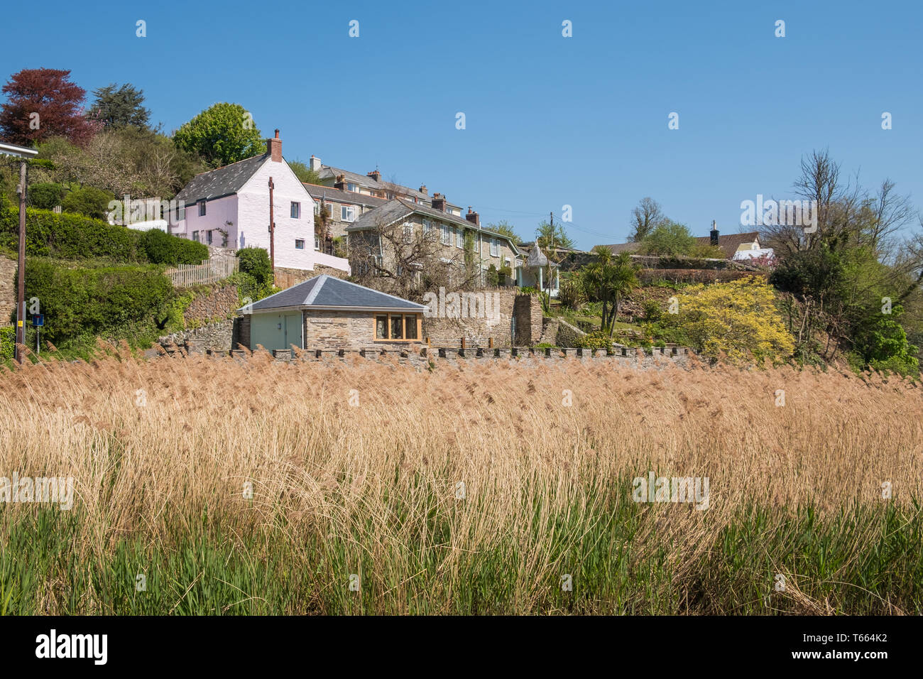 Houses overlooking Batson Creek in Salcombe, Devon Stock Photo - Alamy