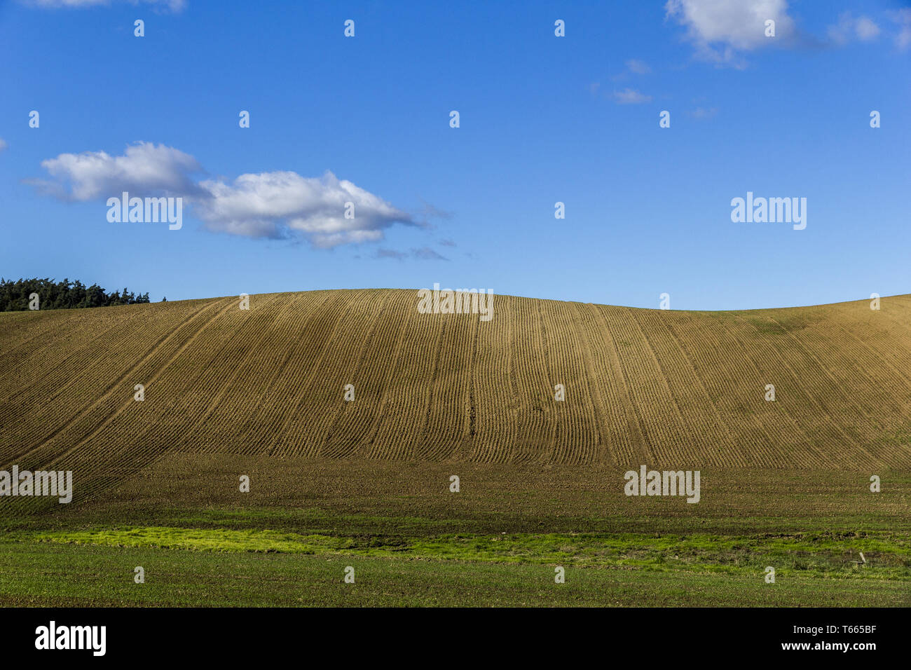 Field Grass Mud Hill High Resolution Stock Photography and Images - Alamy