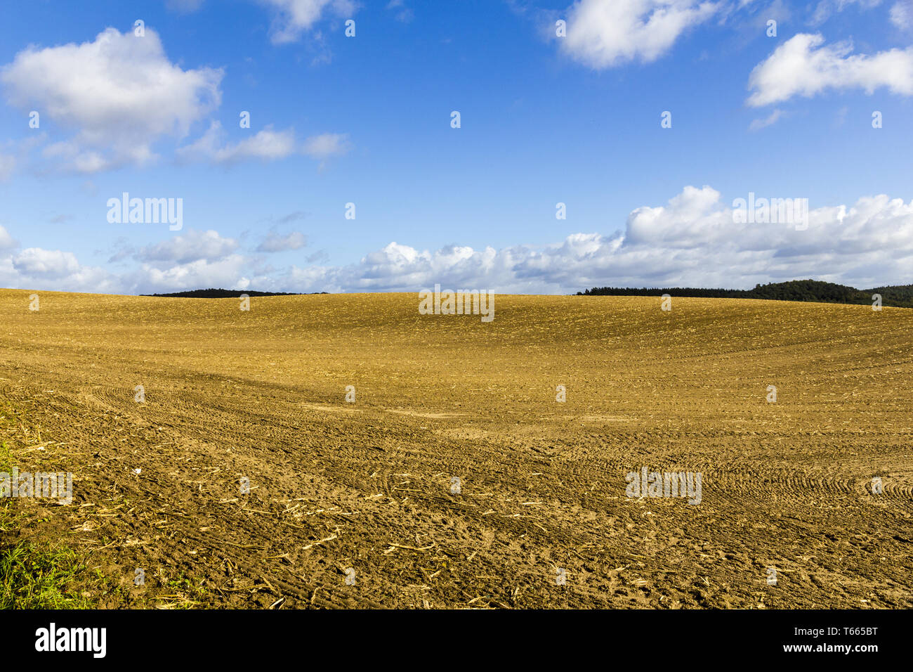 Havest hi-res stock photography and images - Alamy
