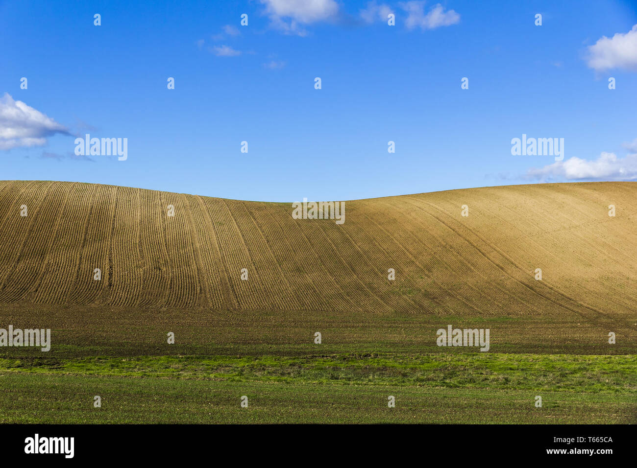 Backdrop of clear ground hi-res stock photography and images - Alamy