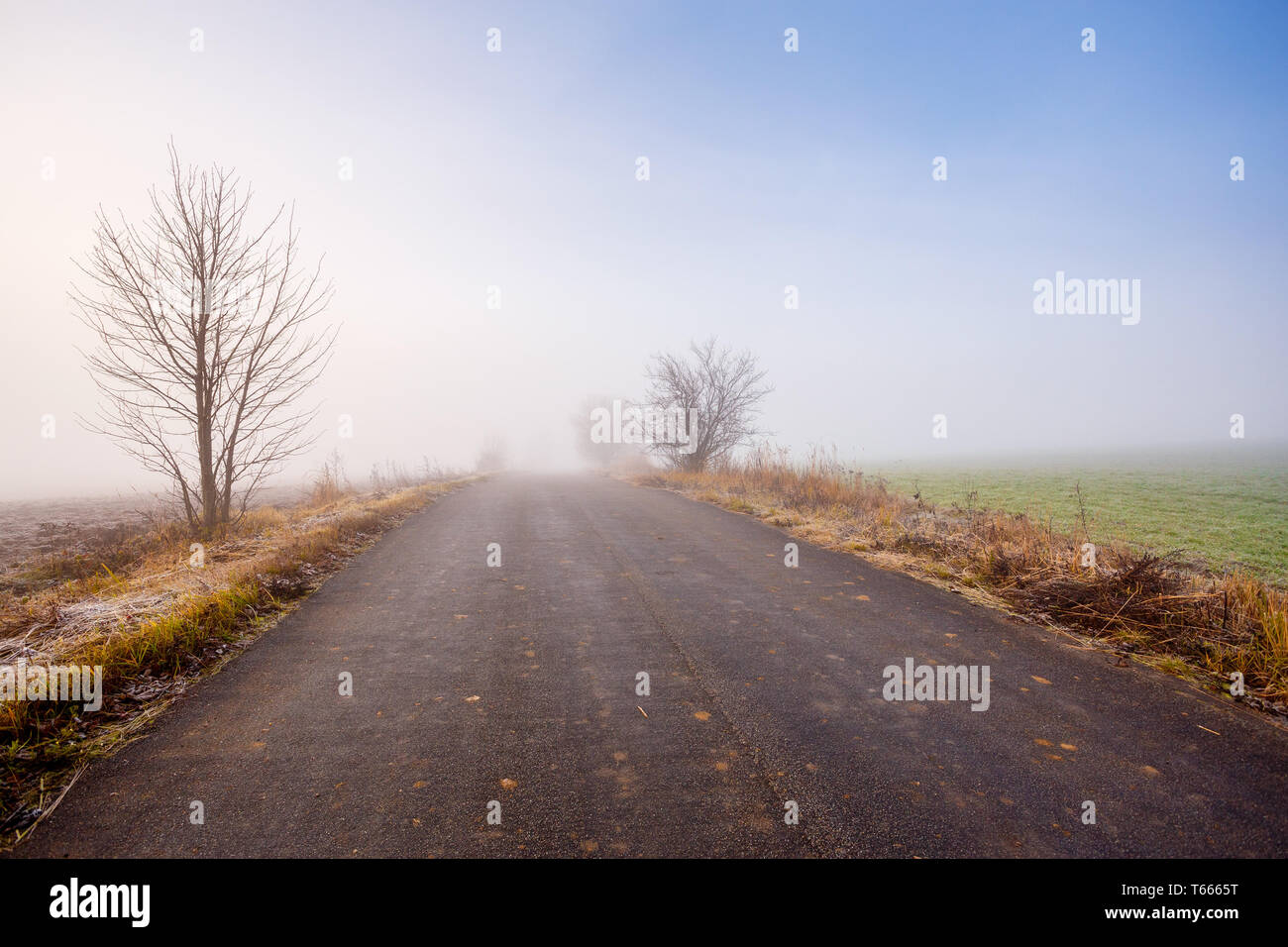 rural foggy road going to the mist Stock Photo - Alamy