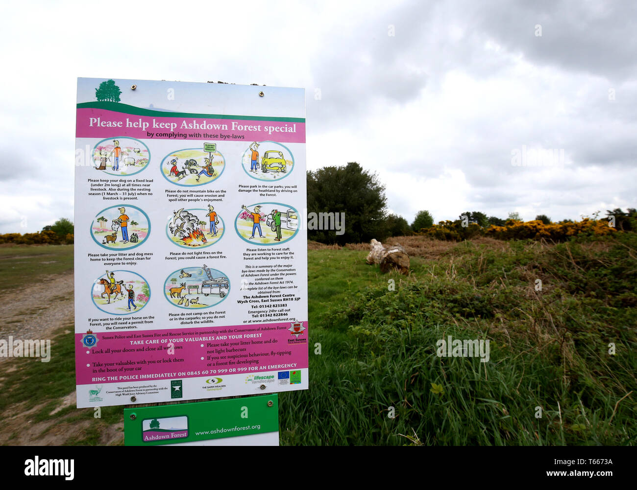 Ashdown forest fire hi-res stock photography and images - Alamy