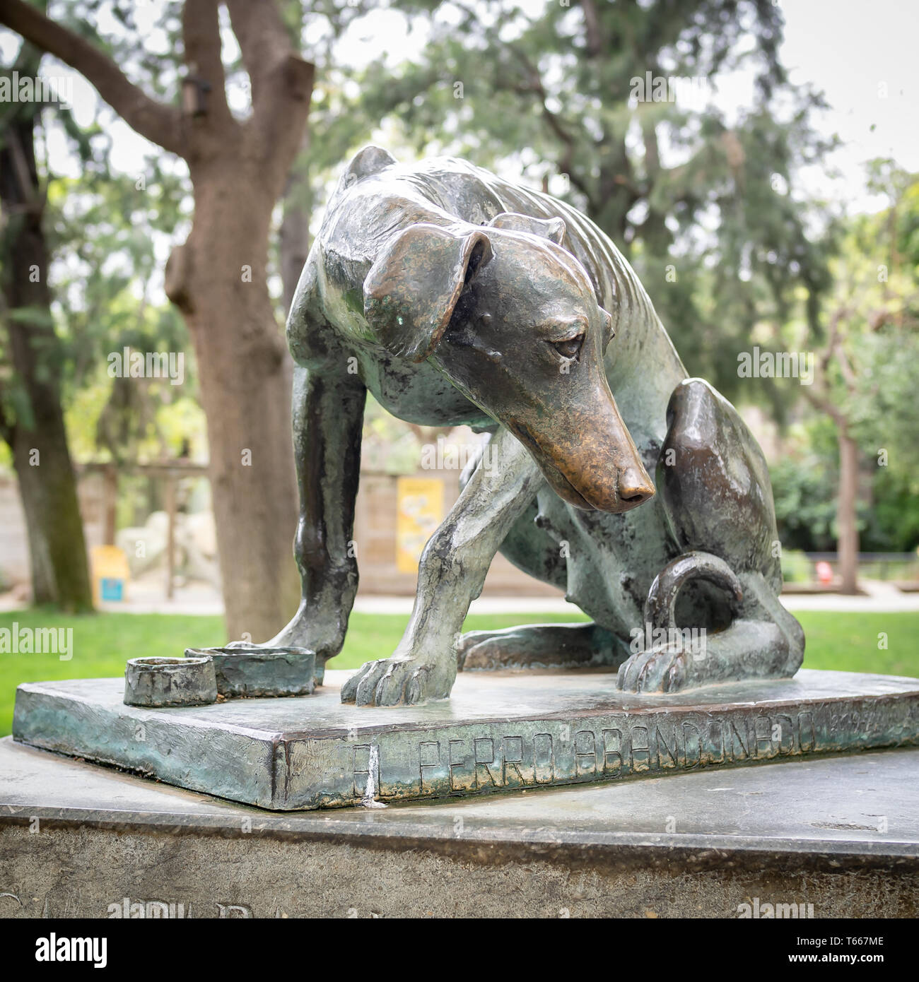 The Abandoned Dog: A Silent Tribute to the Forgotten Souls of Our World ...