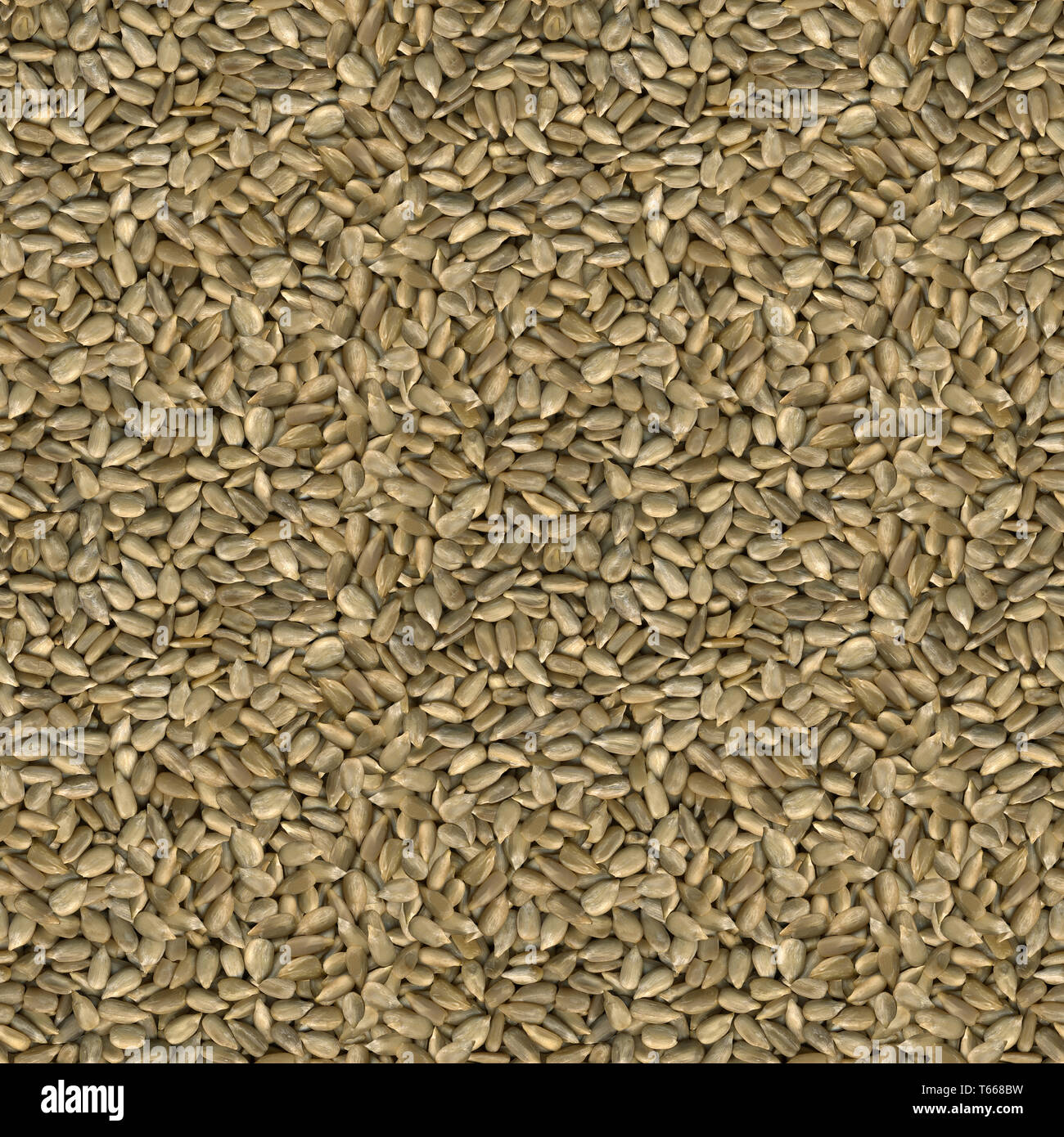 Sunflower Seeds Seamless Texture Stock Photo - Alamy
