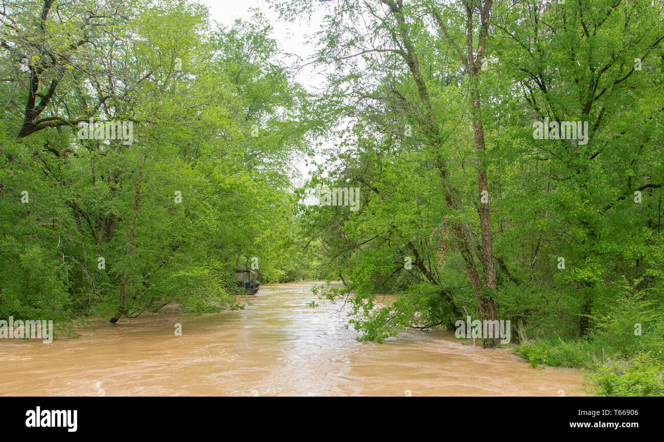Muddy marsh hi-res stock photography and images - Alamy