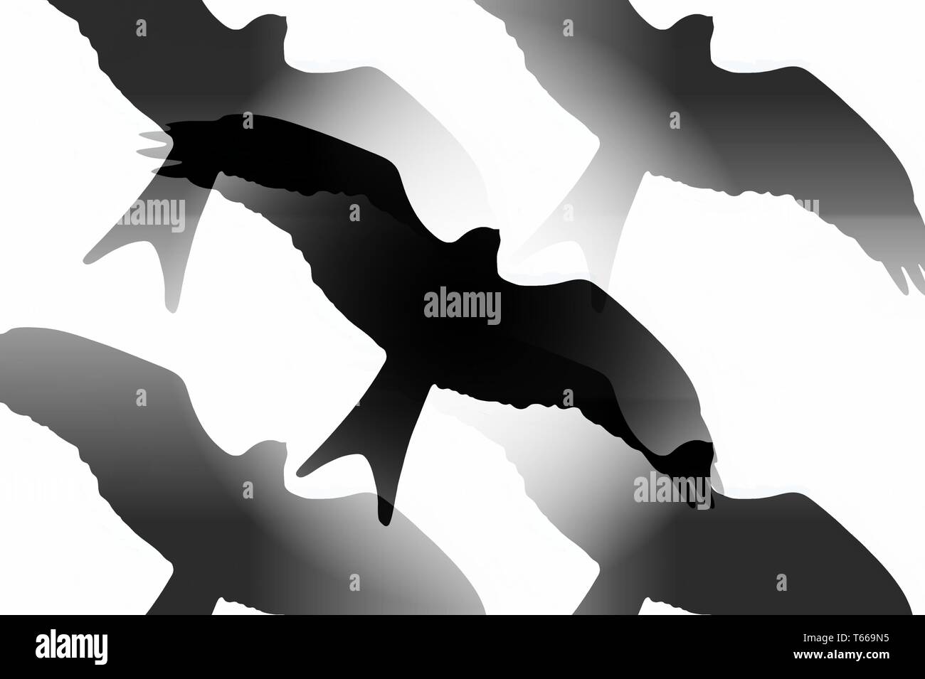 Raptor silhouette hi-res stock photography and images - Alamy