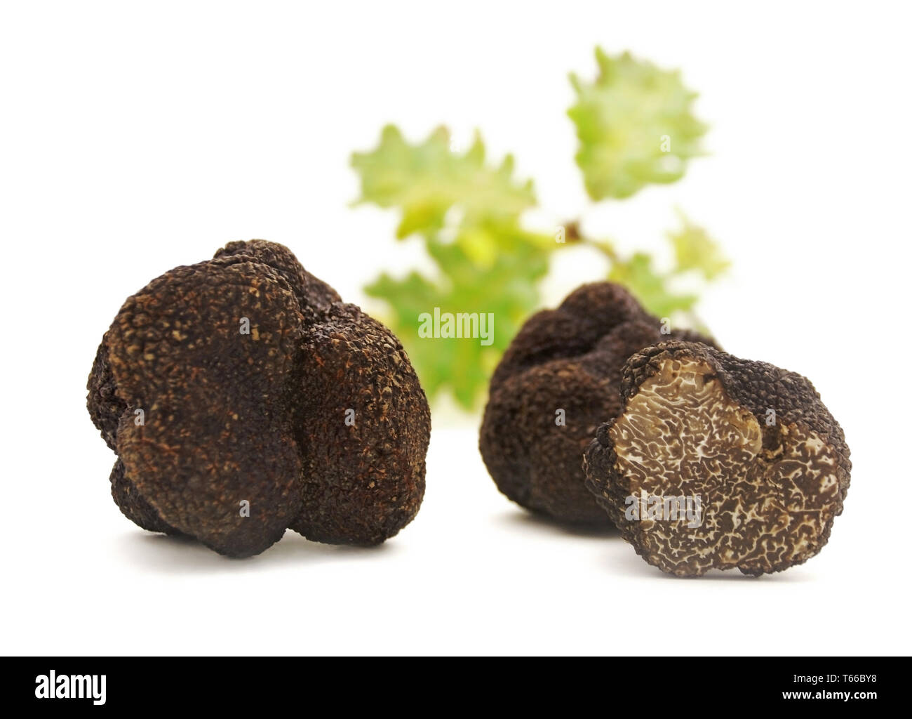 Black truffle food hi-res stock photography and images - Alamy