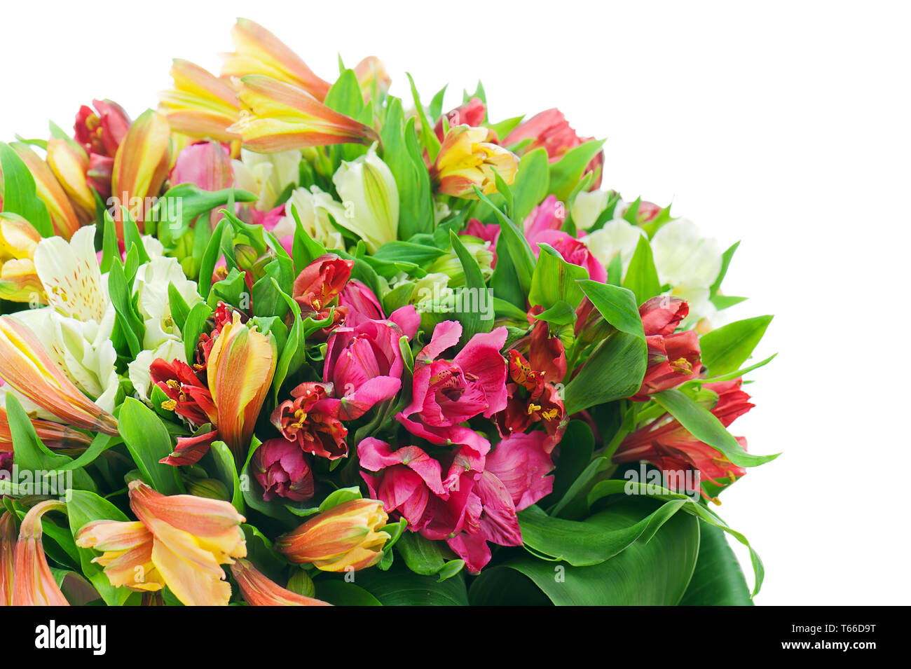 Fragment flower hi-res stock photography and images - Alamy