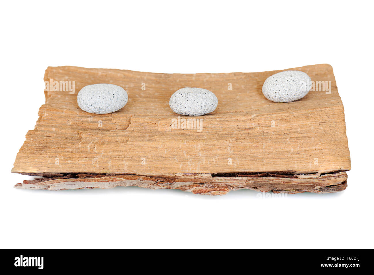 Tree on stone wall Cut Out Stock Images & Pictures - Alamy