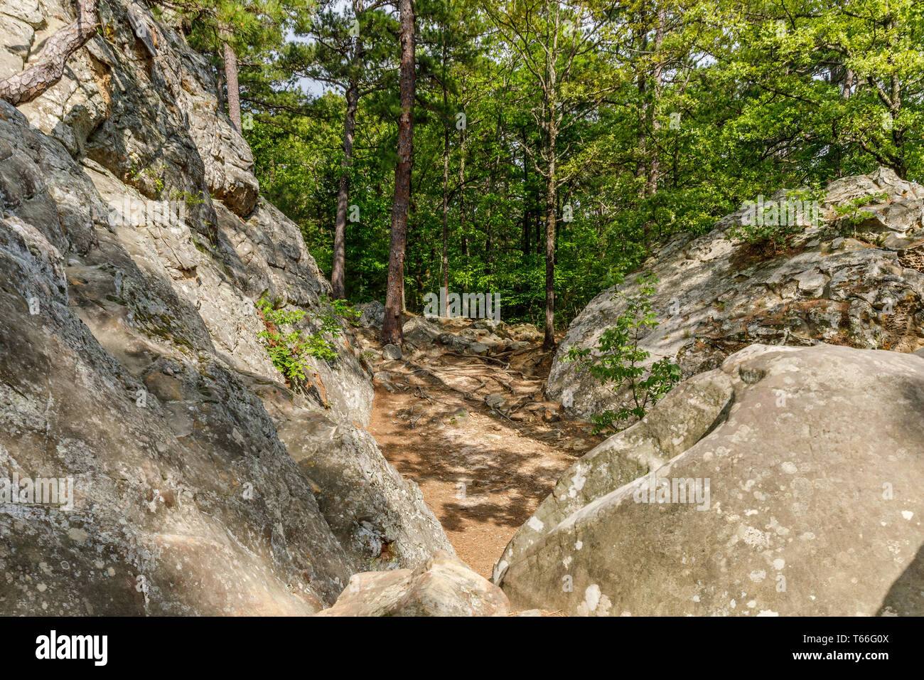 Robber’s cave state park oklahoma hi-res stock photography and images ...
