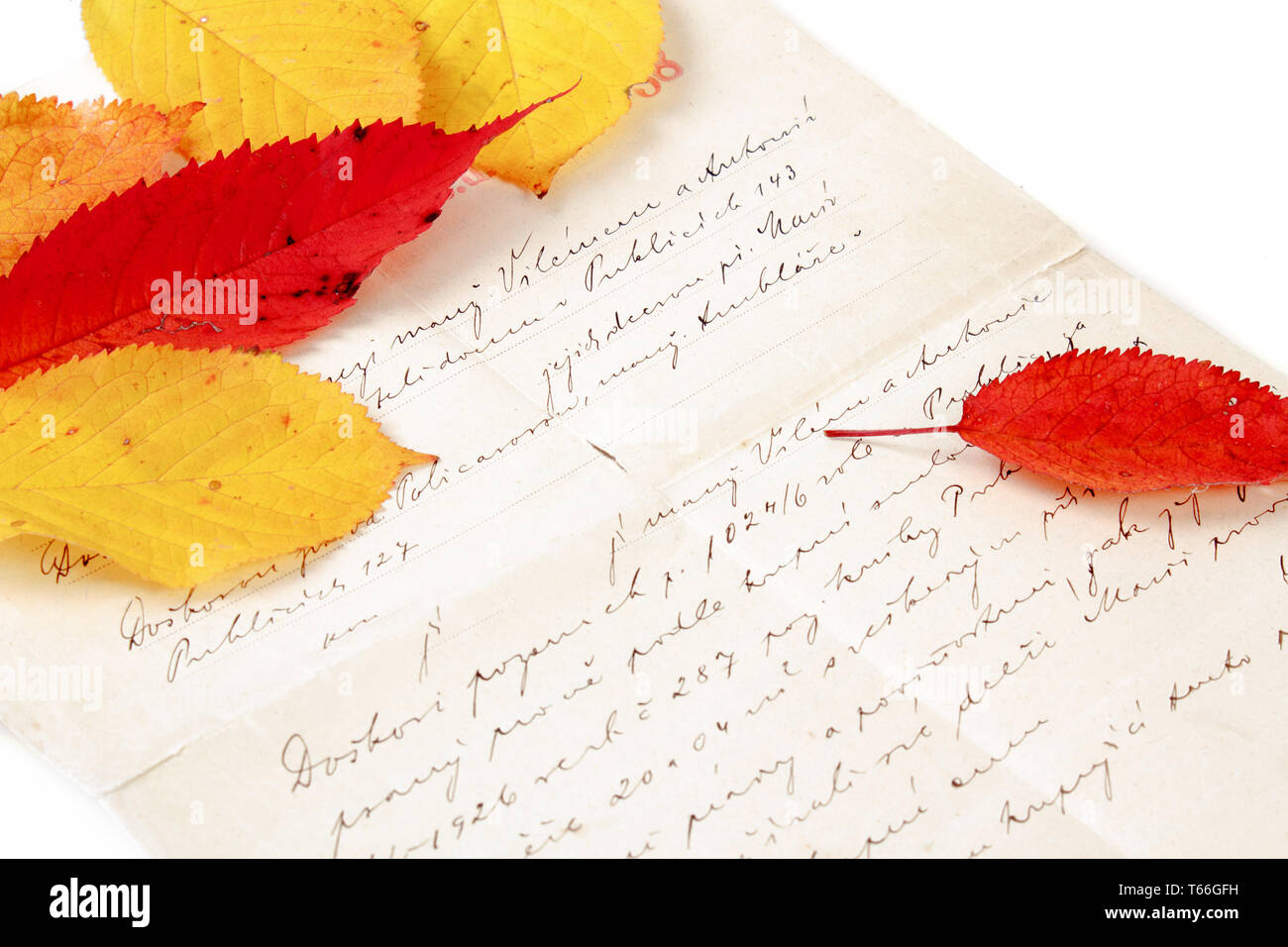 handwritten letter with autumn leaves Stock Photo - Alamy