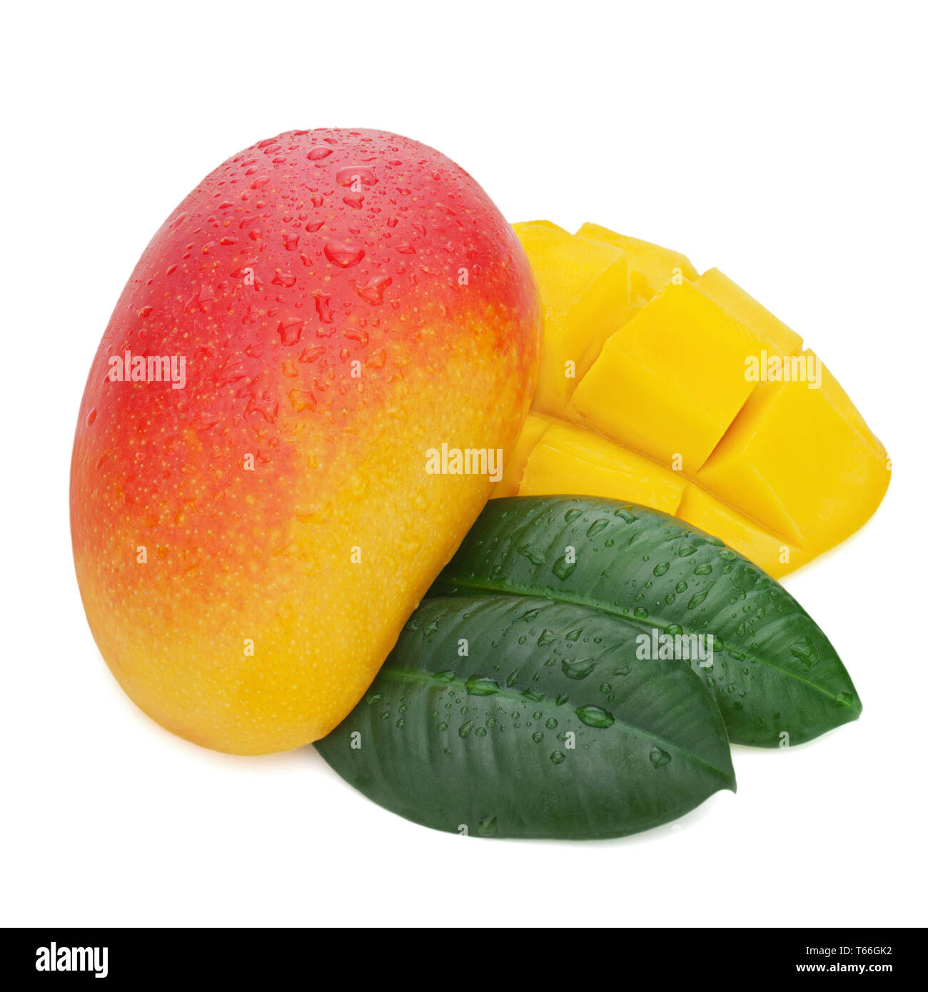 Leaves mango hi-res stock photography and images - Alamy