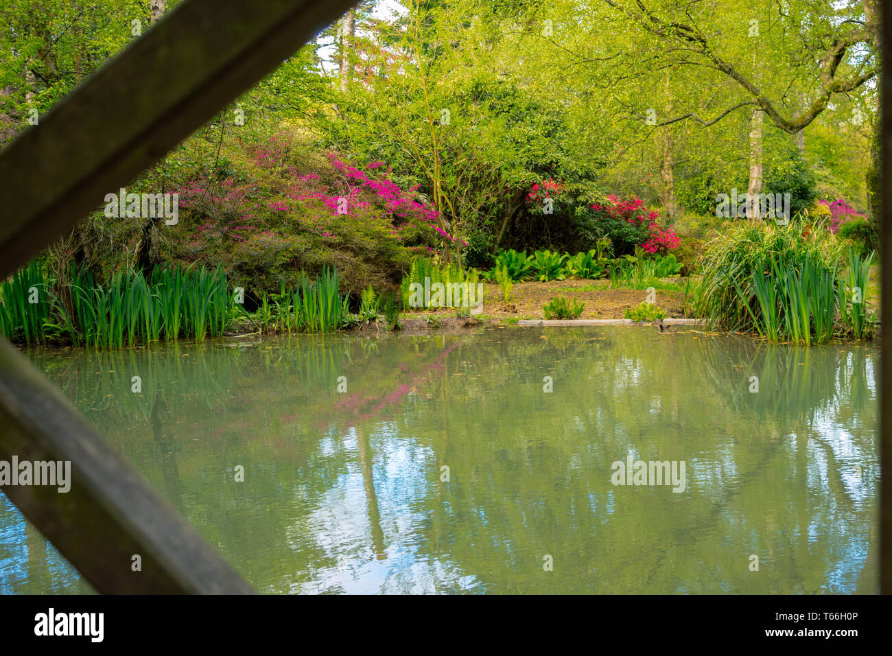 colourful nature park Stock Photo - Alamy
