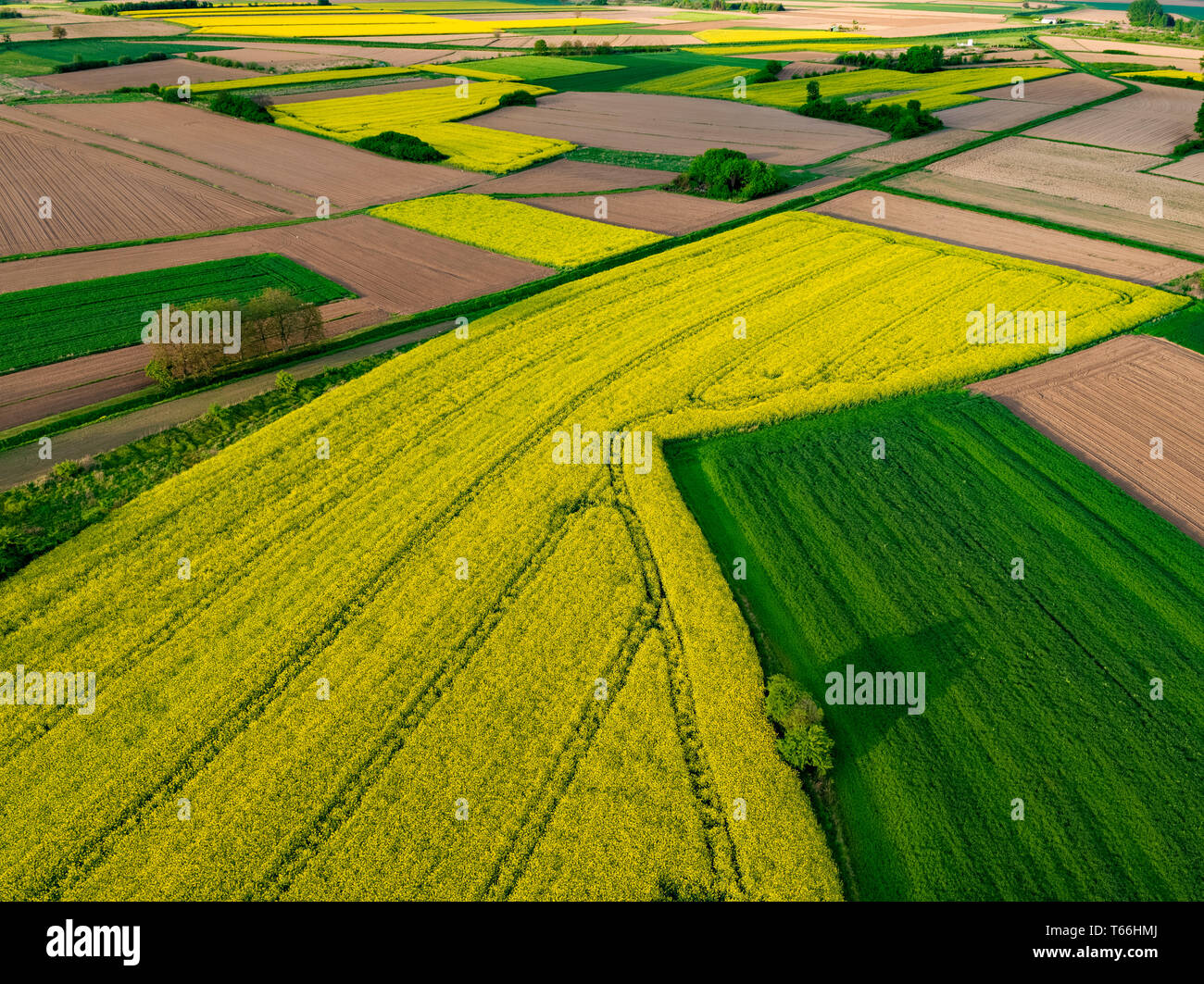 Aerial view of agriculture fields with the wheat, rapeseed and corn ...