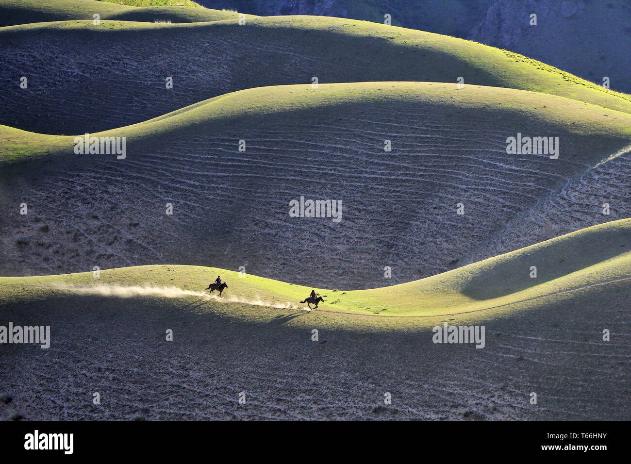 Kalajun prairies hi-res stock photography and images - Alamy