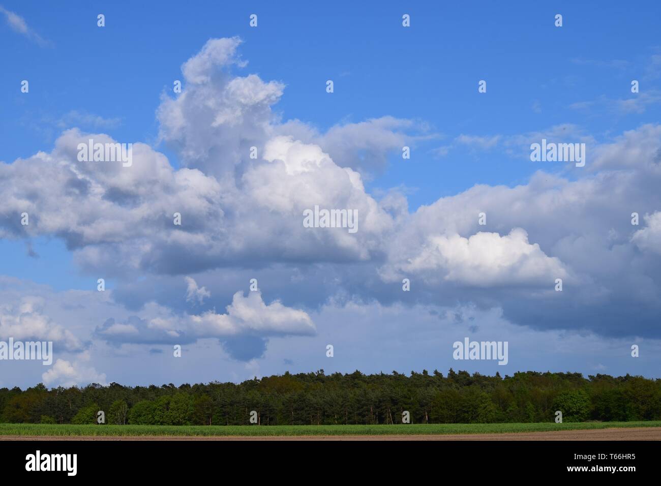 Cloud meanings hi-res stock photography and images - Alamy