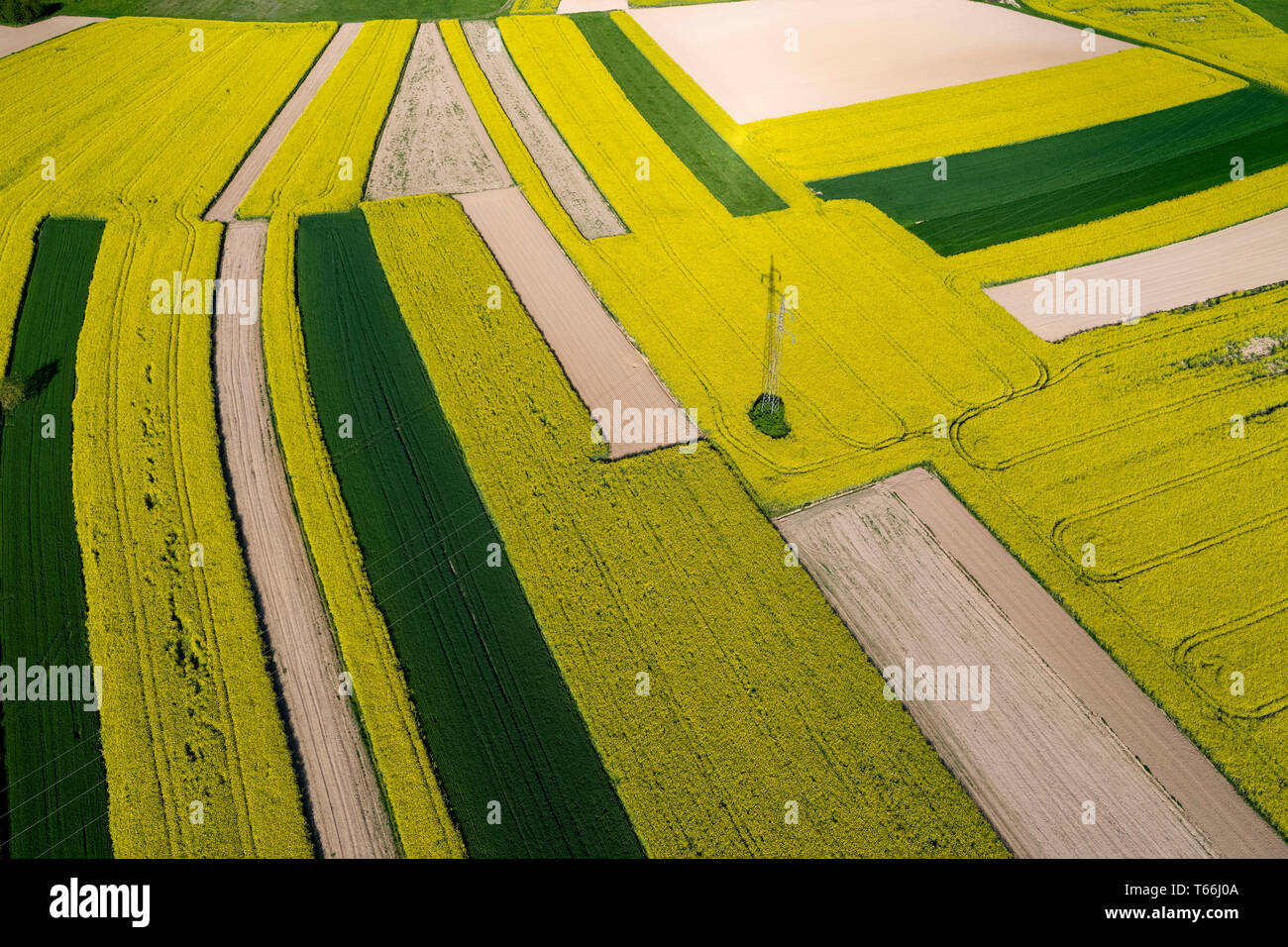 Aerial of corn crops hi-res stock photography and images - Alamy