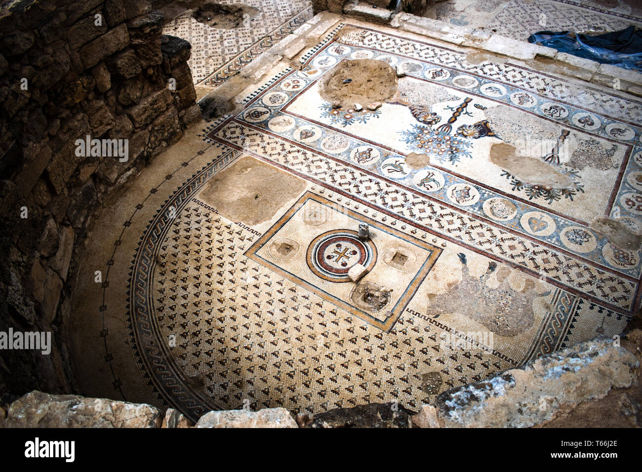 Rasas hi-res stock photography and images - Alamy