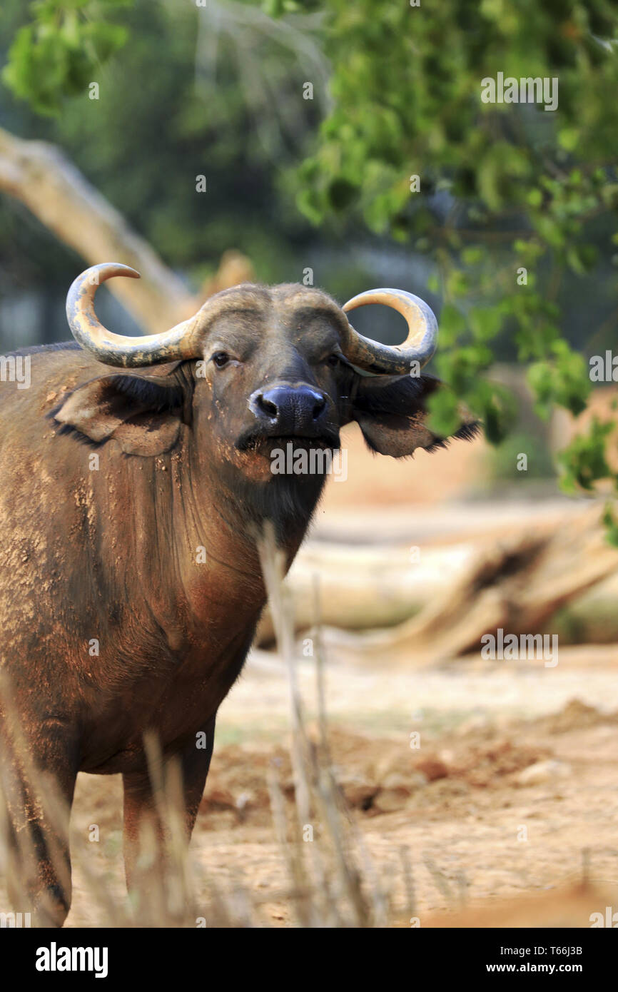 Longtan taiwan hi-res stock photography and images - Alamy