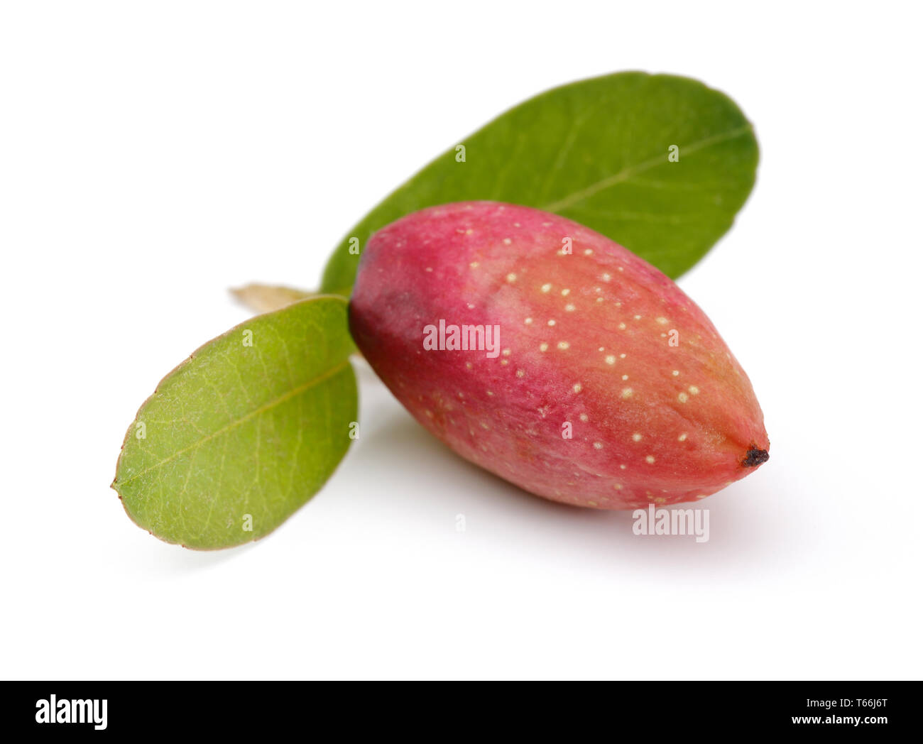 Raw pink pistachio nut with leaves isolated on white background Stock ...
