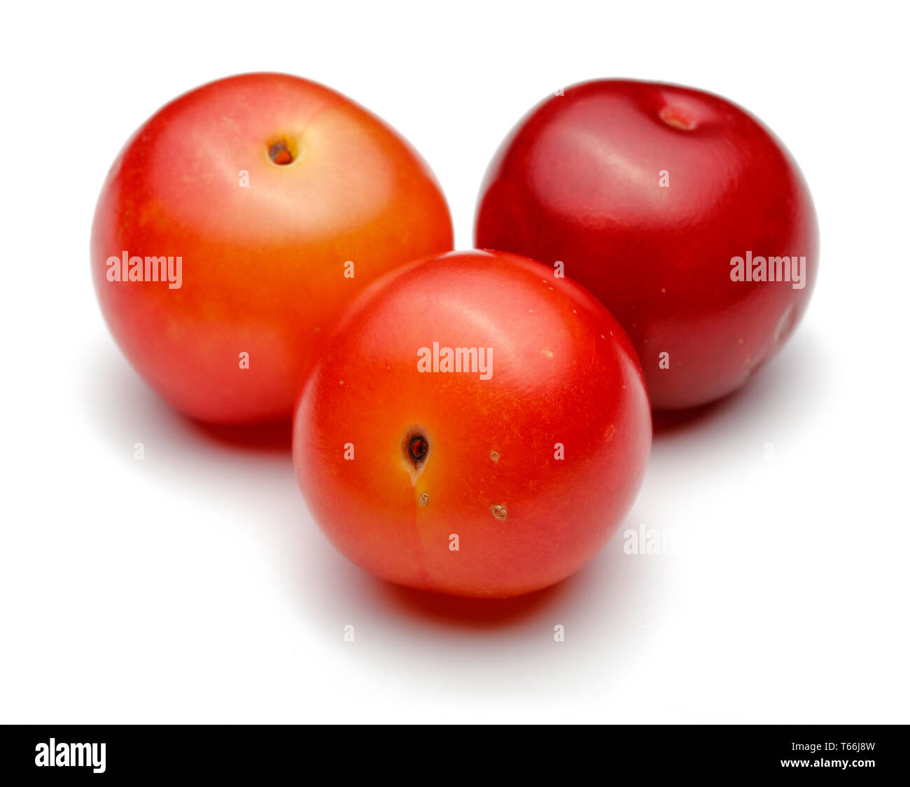 Group of red plums isolated on white background Stock Photo - Alamy