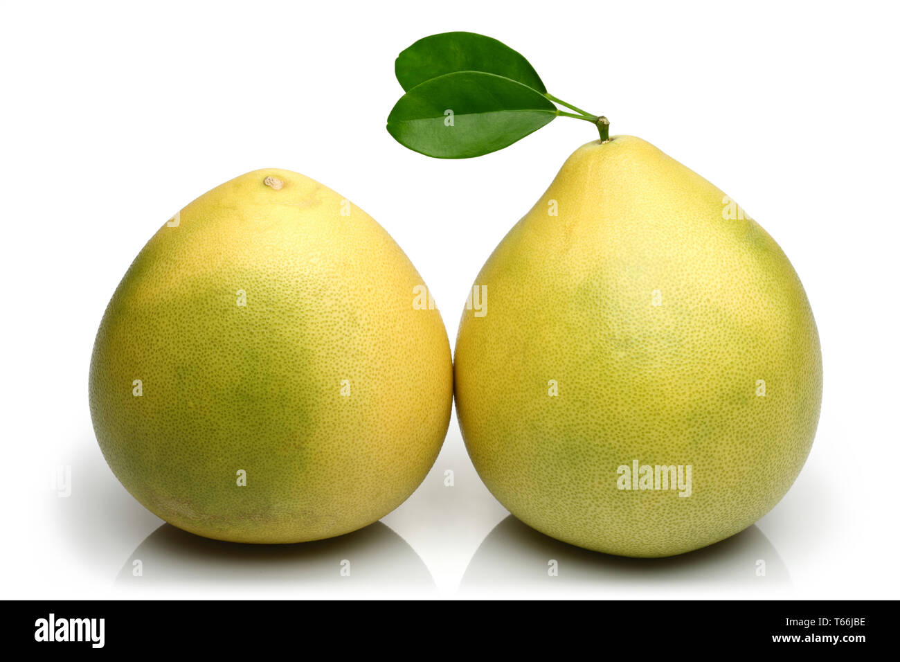 Fresh pomelo fruits with leaf isolated on white background Stock Photo ...