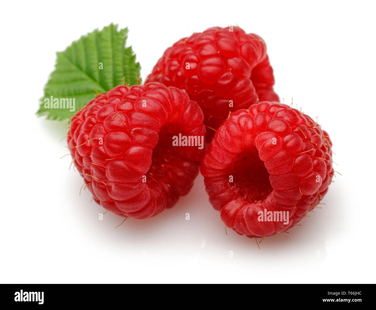 Fresh raspberries with leaf isolated on white background Stock Photo ...