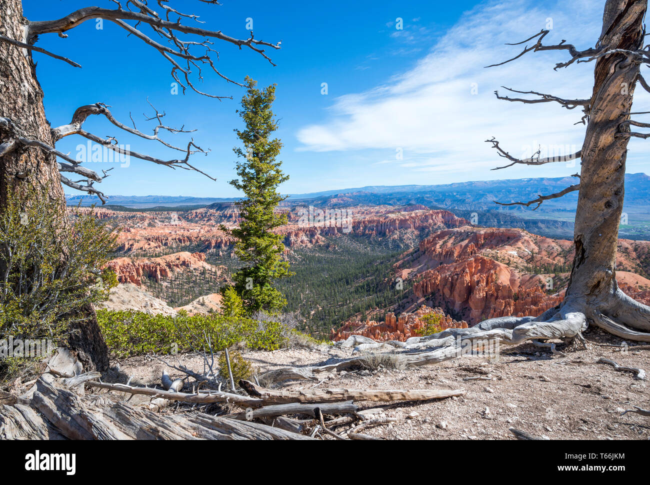 Nature landscape viewed from Bryce Point. Bryce Canyon National Park ...