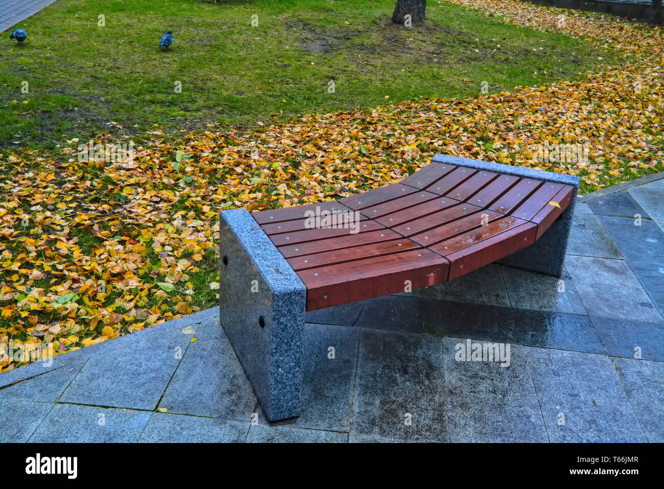 Autumn park bench, rainy texture background. Rain in autumn park, drops ...