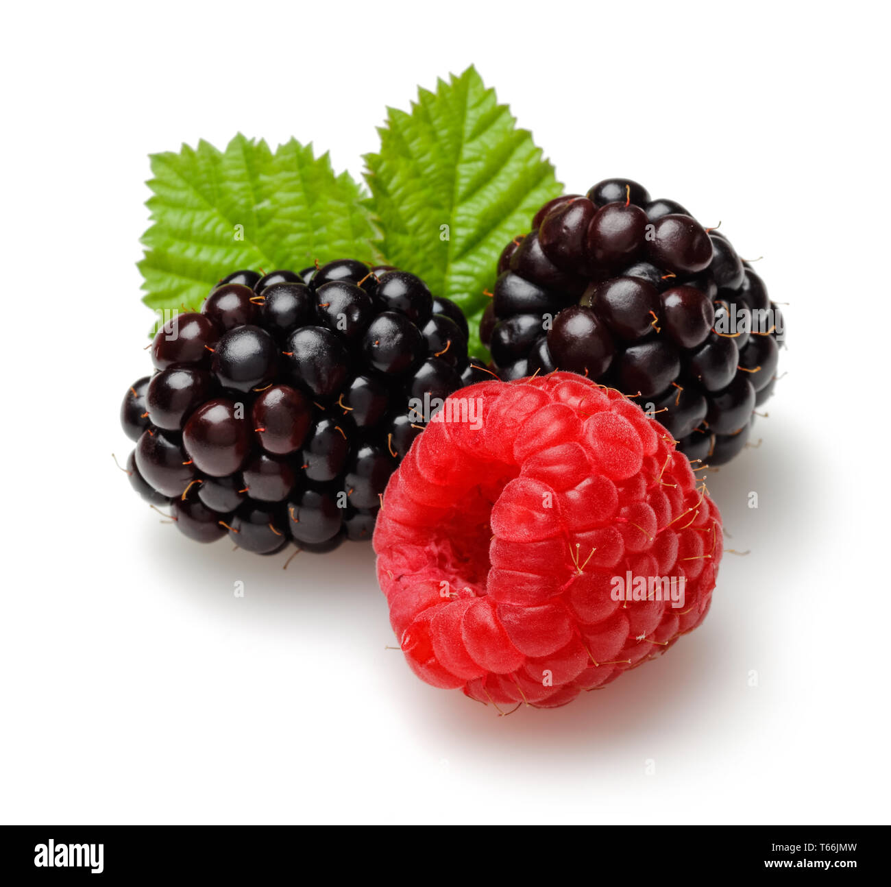 Fresh raspberry and blackberries with leaves isolated on white ...