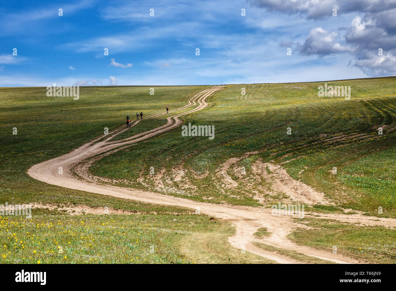 A group of cyclists climb the mountain on a country road. Highland ...